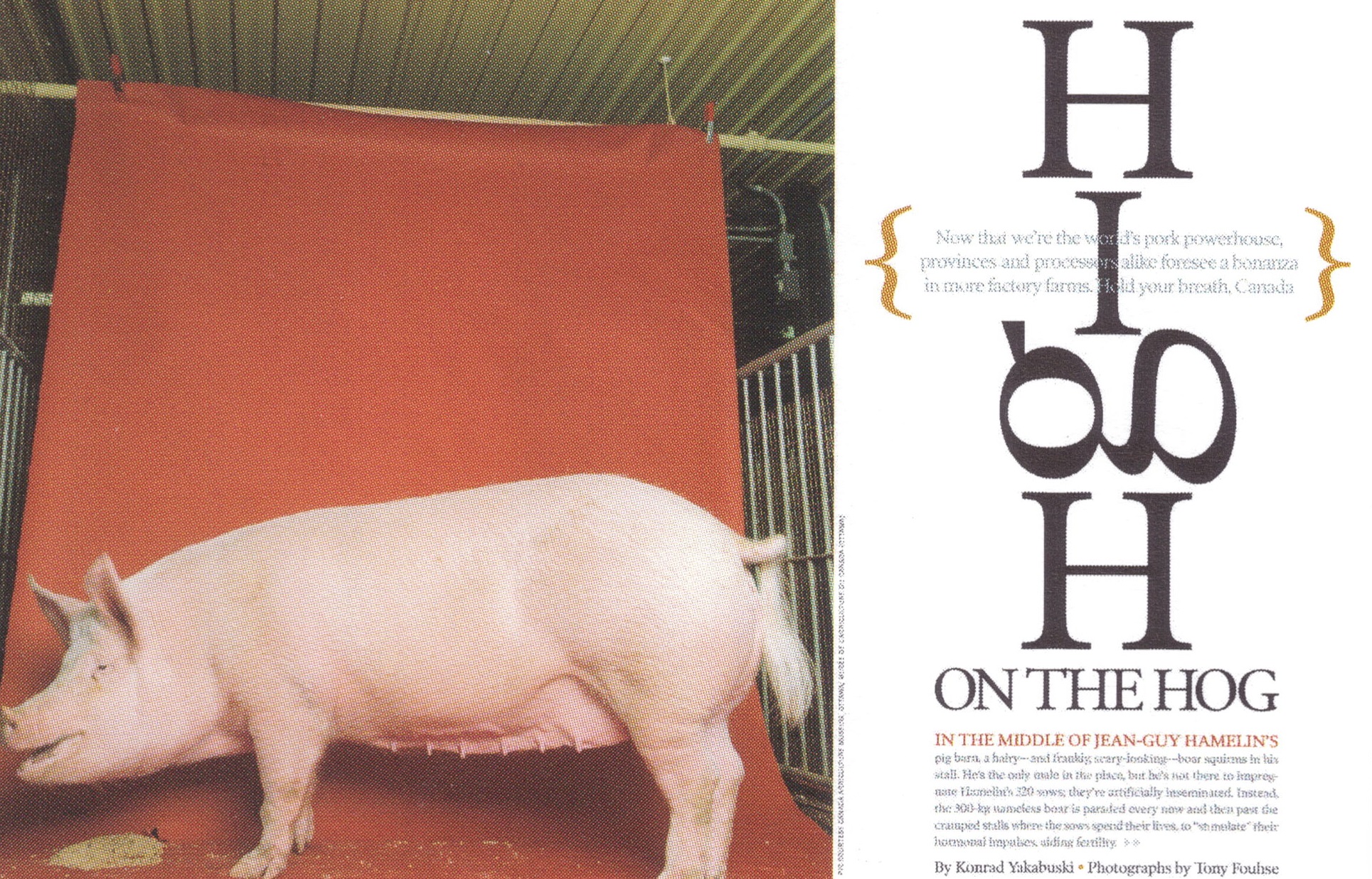 High on the Hog | The ADCC