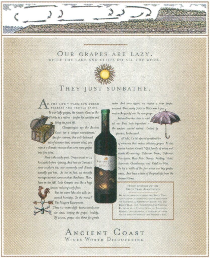 Yumee, Lazy Grapes | The ADCC