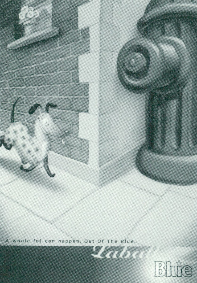 Hydrant, Donut, Plug | The ADCC