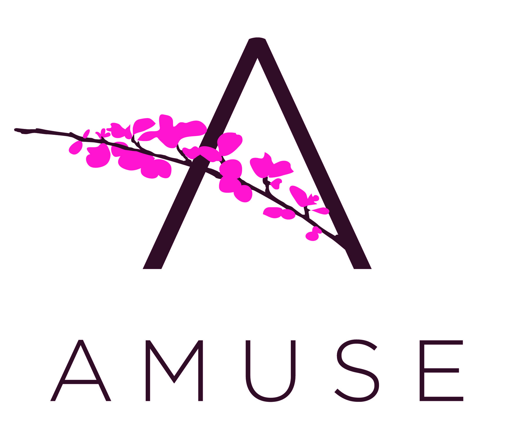 Amuse | The ADCC