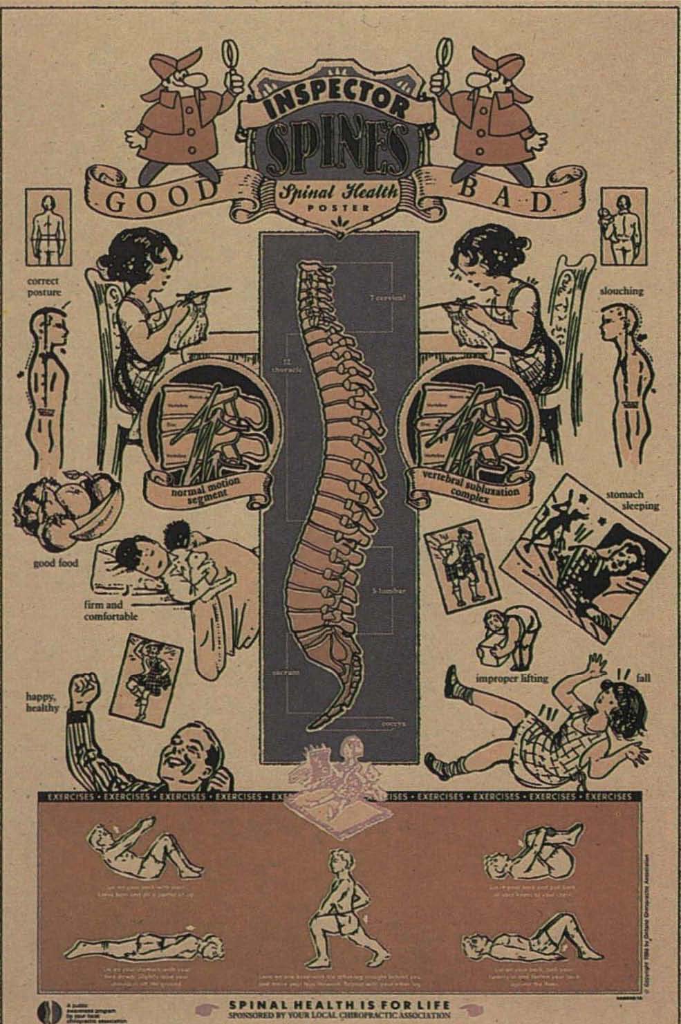 Inspector Spine's Health Poster | The ADCC