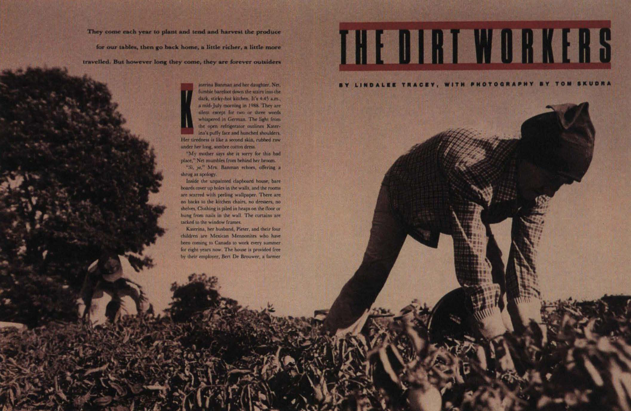 The Dirt Workers | The ADCC