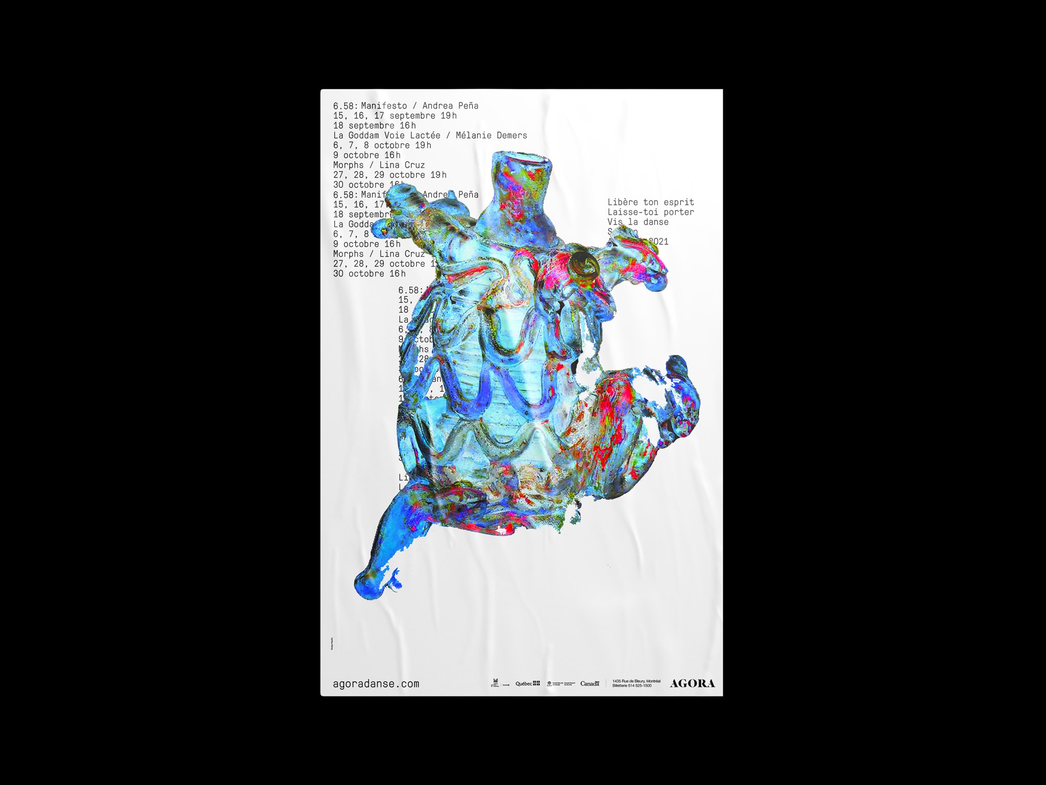 10th anniversary Campaign | The ADCC