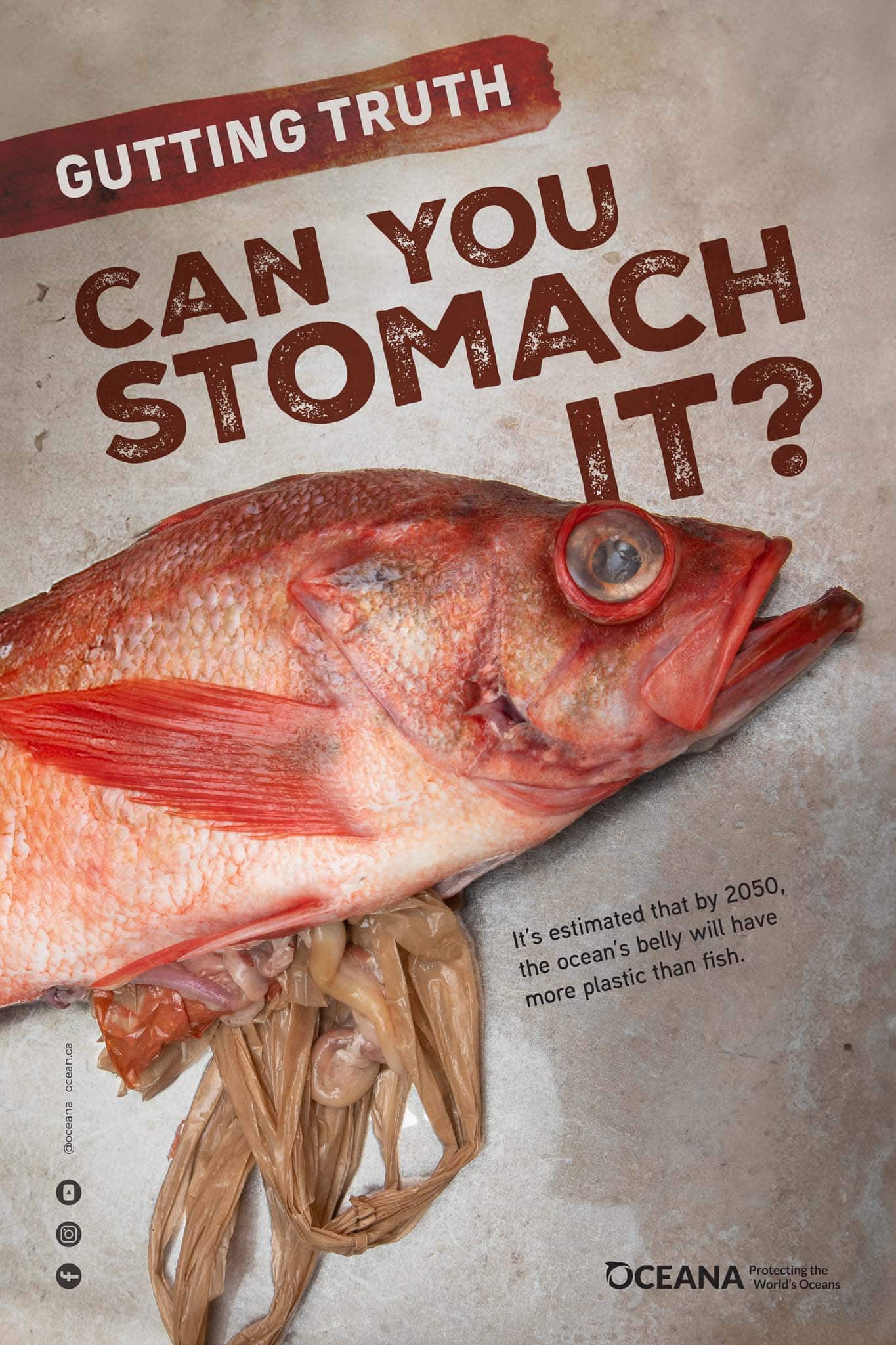 The Gutting Truth: Ocean Plastic Pollution Awareness Campaign | The ADCC